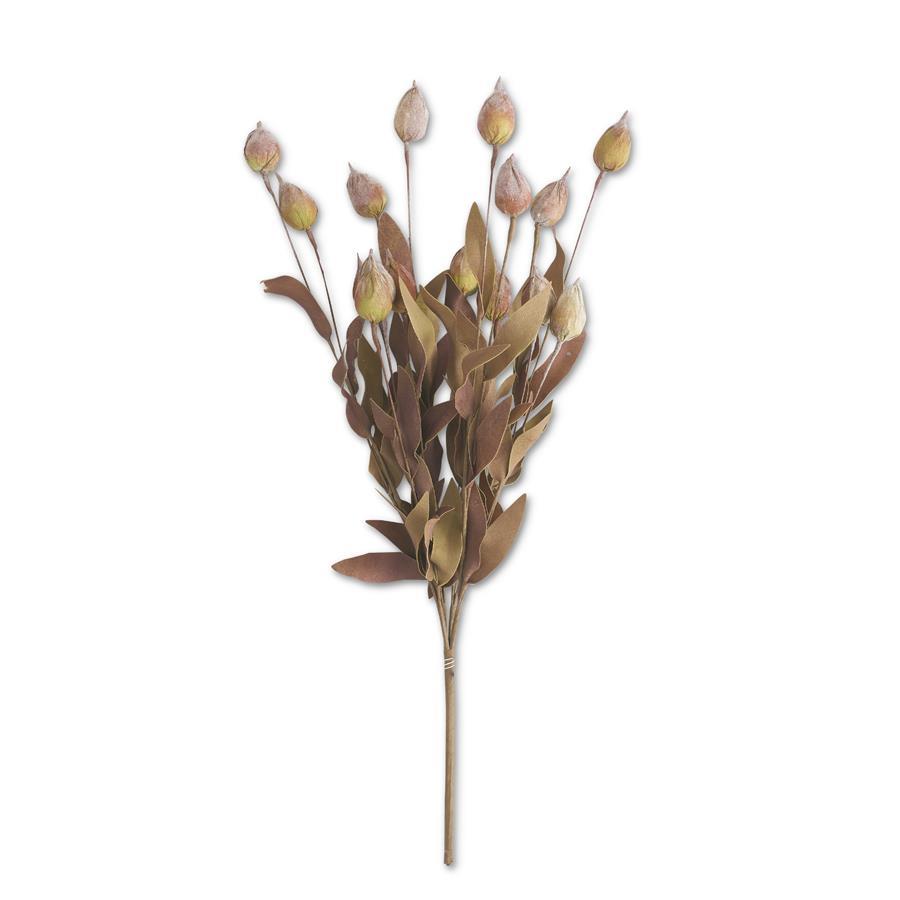 24 Inch Burgundy and Green Sleepy Silene Eva Bush – Rendered Unique